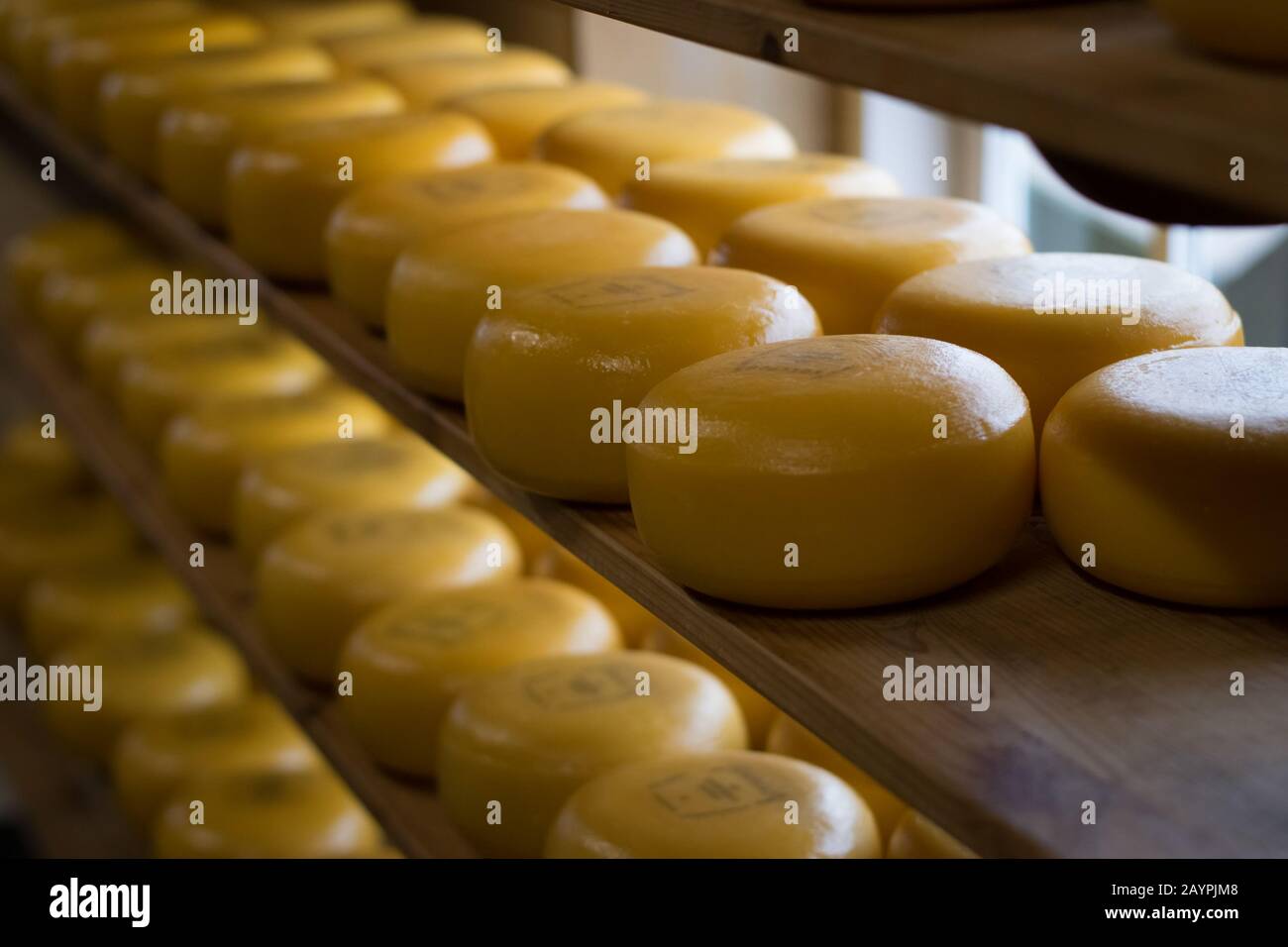 Cheese wheels on a shelf Stock Photo - Alamy