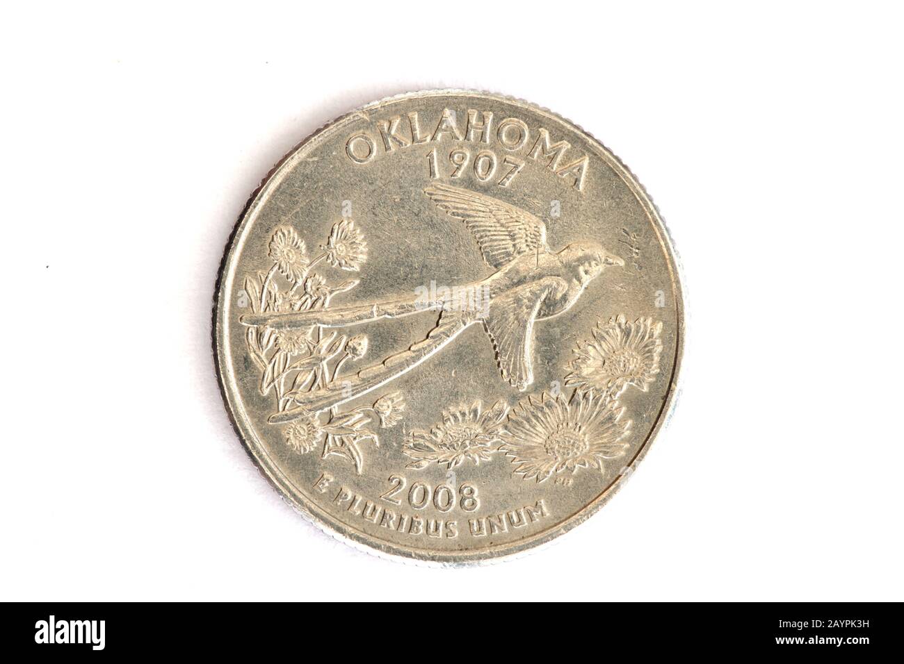 State bird of oklahoma hi-res stock photography and images - Alamy