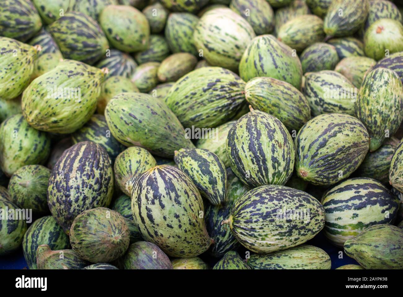 Beautiful tasty ripe melons at the market Stock Photo - Alamy