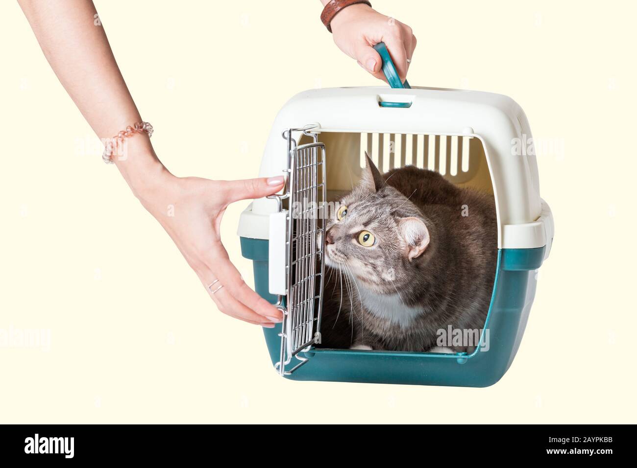 Woman carrying box medical hi-res stock photography and images - Alamy