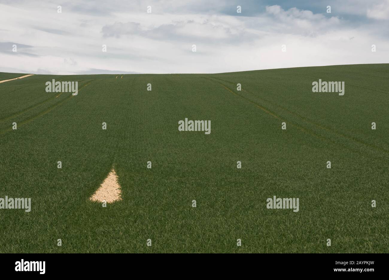 Patching a hi-res stock photography and images - Alamy