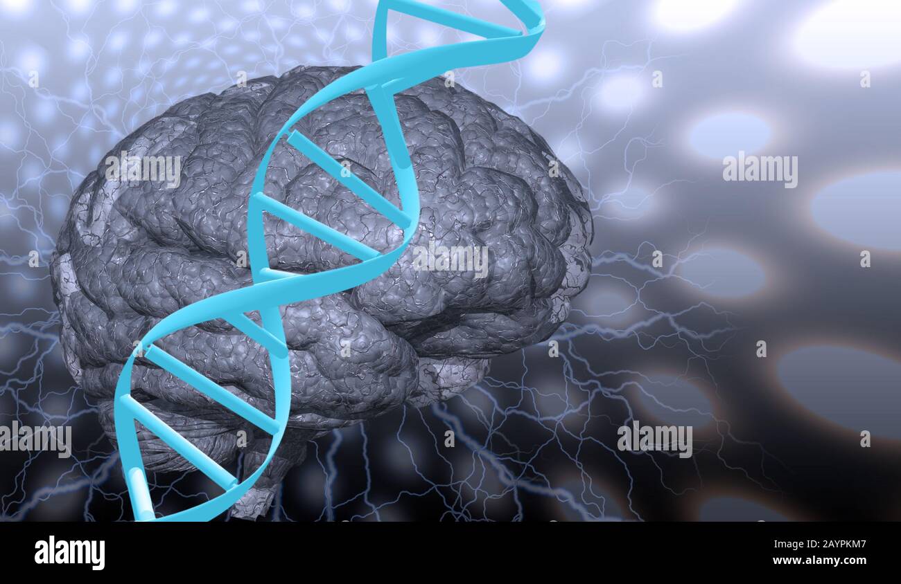 DNA strand and brain. 3D rendering Stock Photo - Alamy