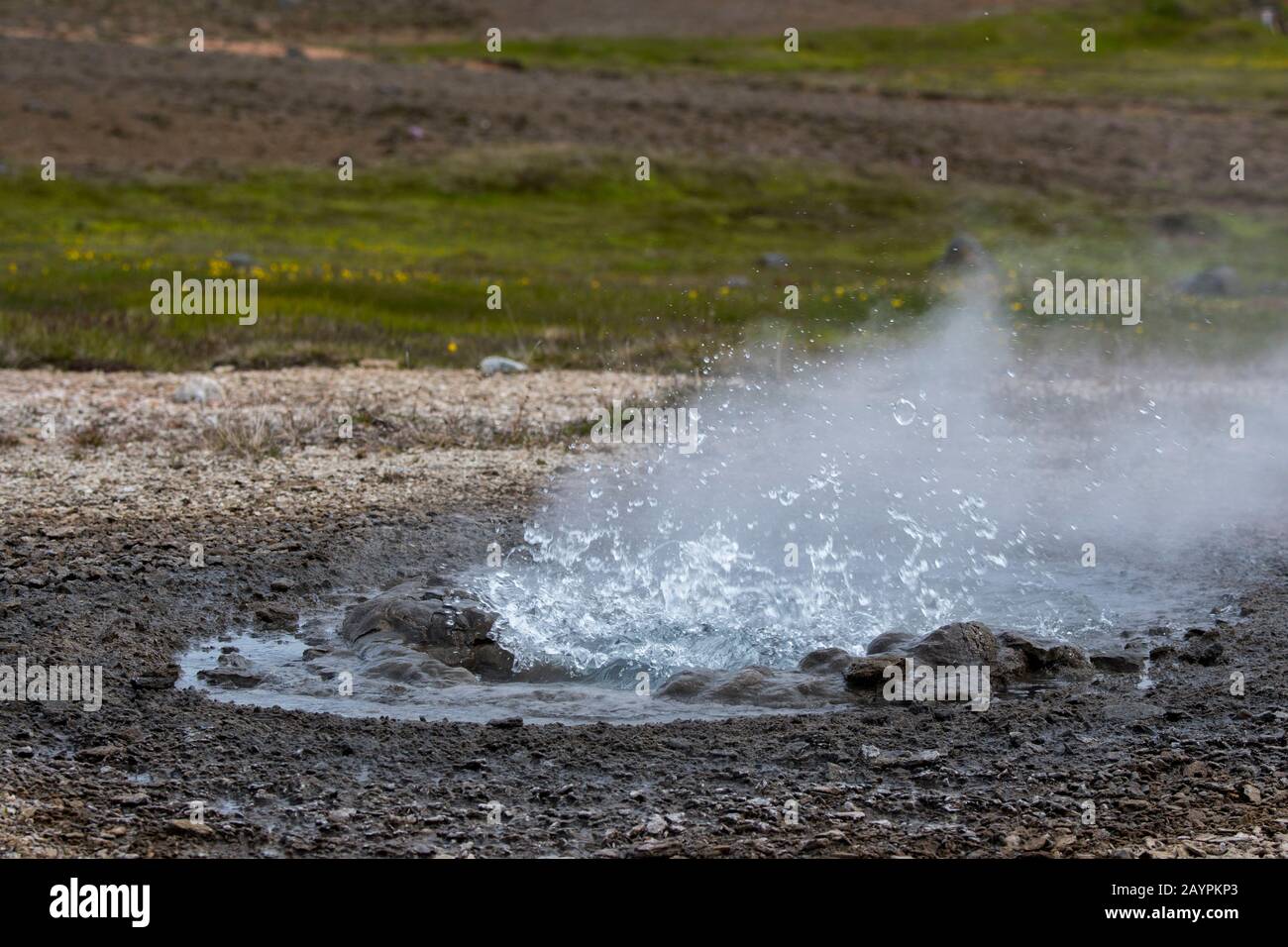 Hot springs spouting water at Hveravellir, a geothermal area of ...