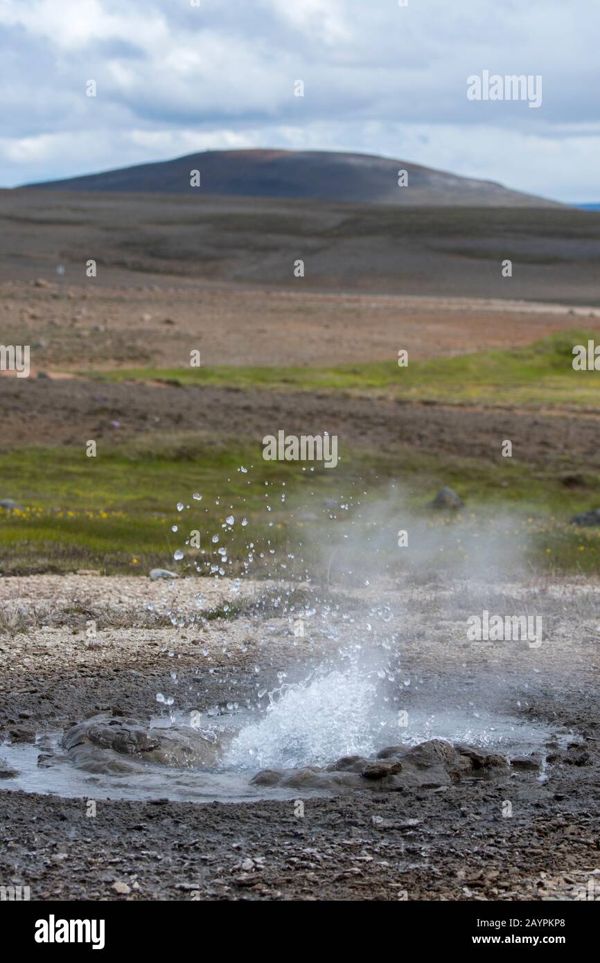 Hot springs spouting water at Hveravellir, a geothermal area of ...