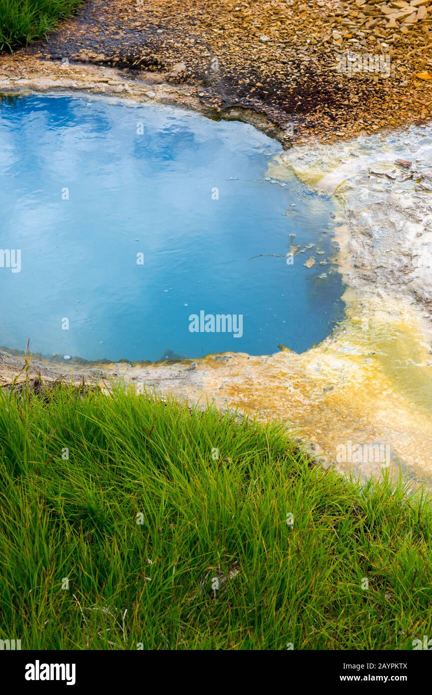 Colorful algae and mineral deposits in the hot springs at Hveravellir ...