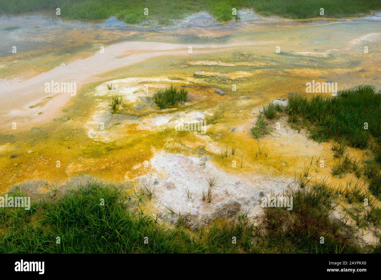 Colorful algae and mineral deposits in the hot springs at Hveravellir ...