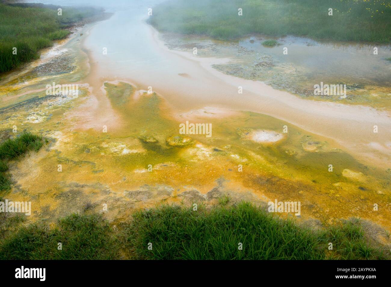 Colorful algae and mineral deposits in the hot springs at Hveravellir ...