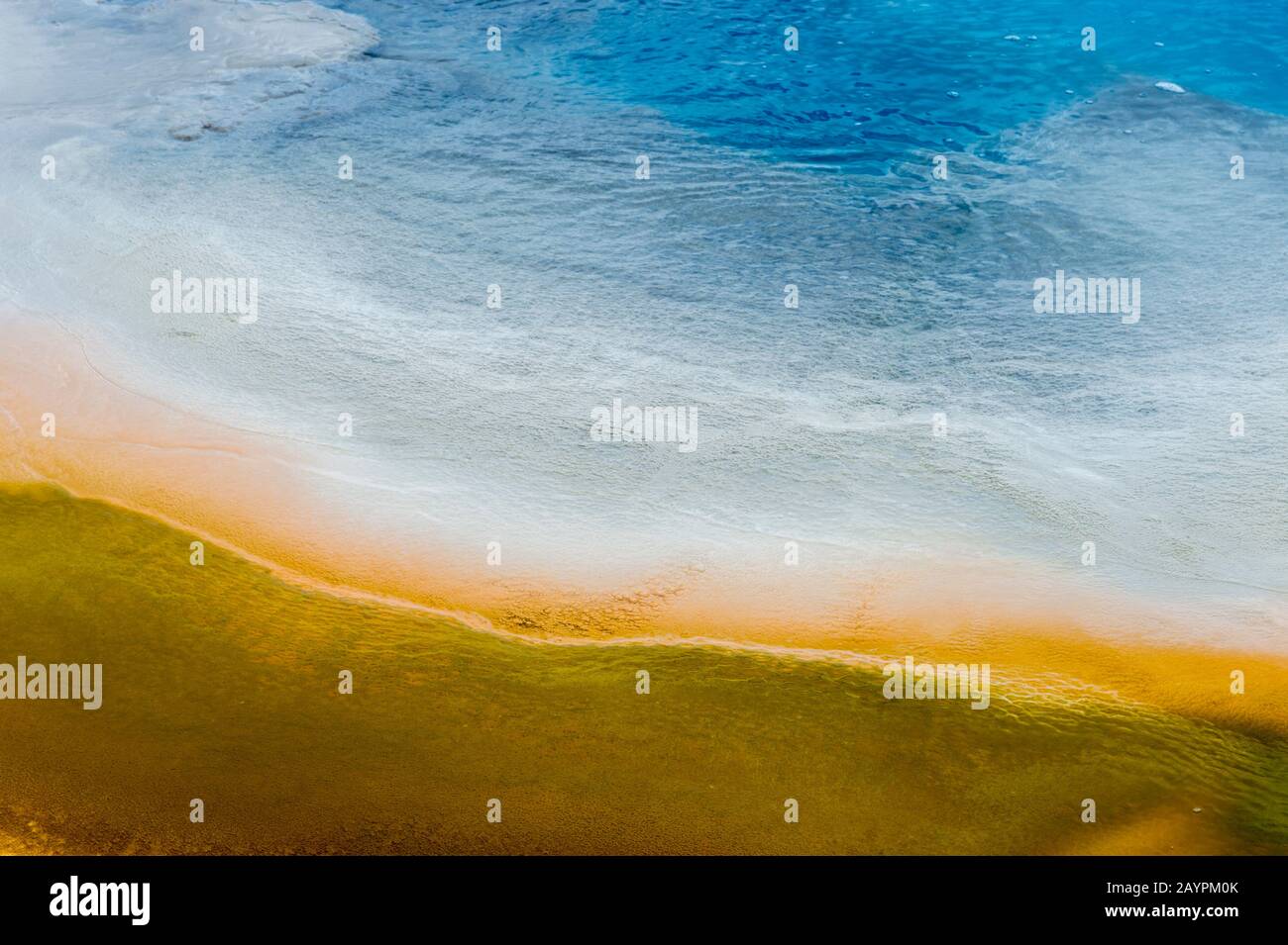 Detail of a hot spring with colorful algae and mineral deposits at ...