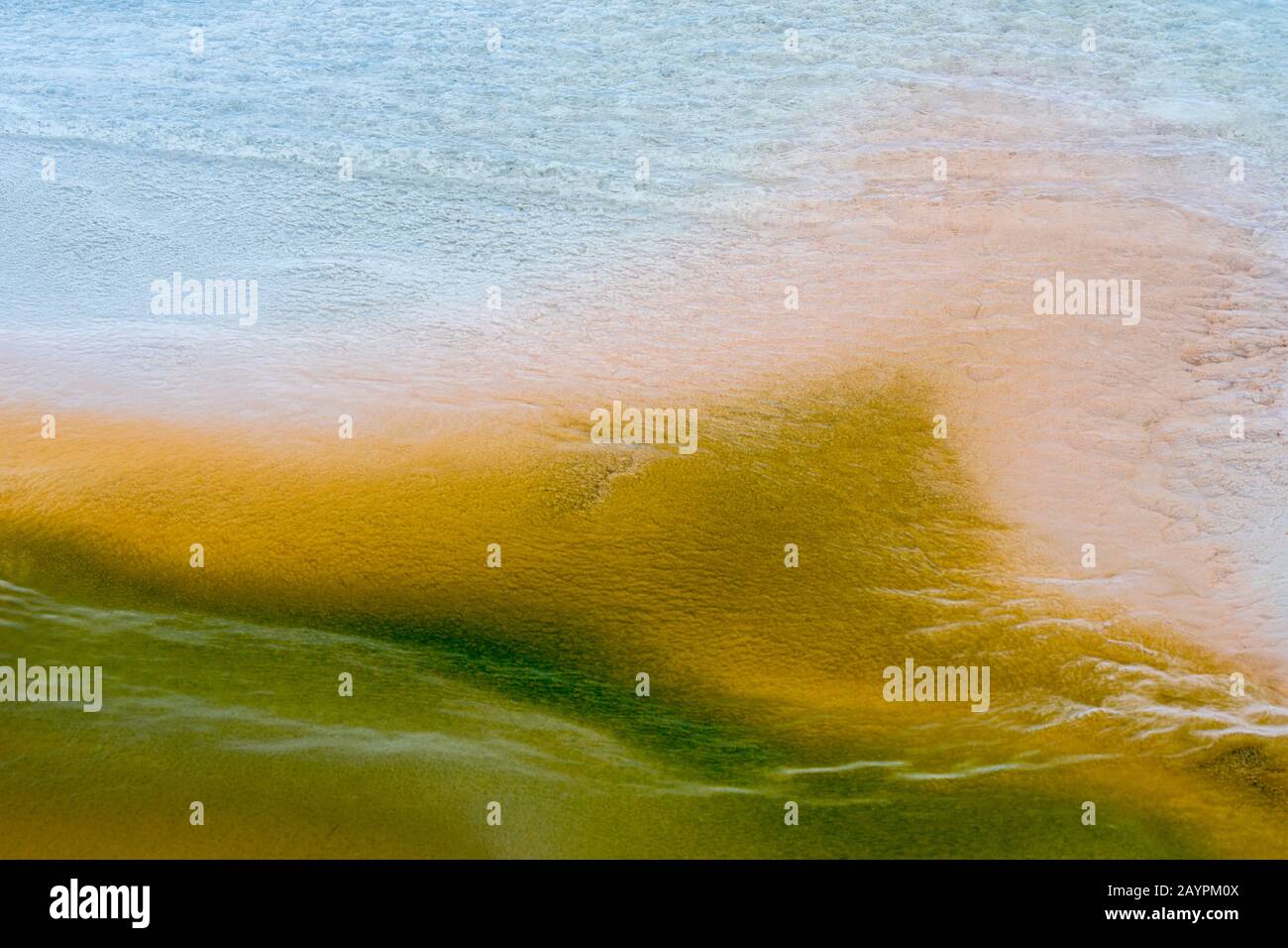 Detail of a hot spring with colorful algae and mineral deposits at ...