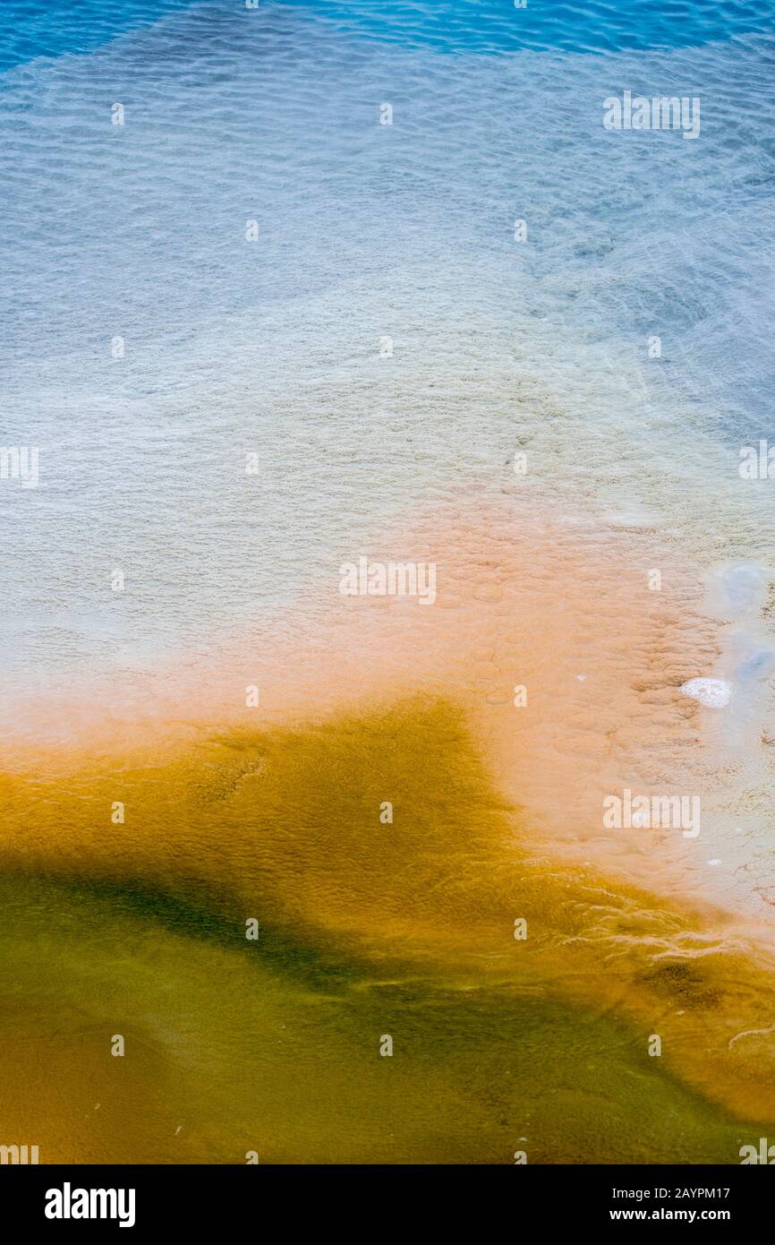 Detail of a hot spring with colorful algae and mineral deposits at ...