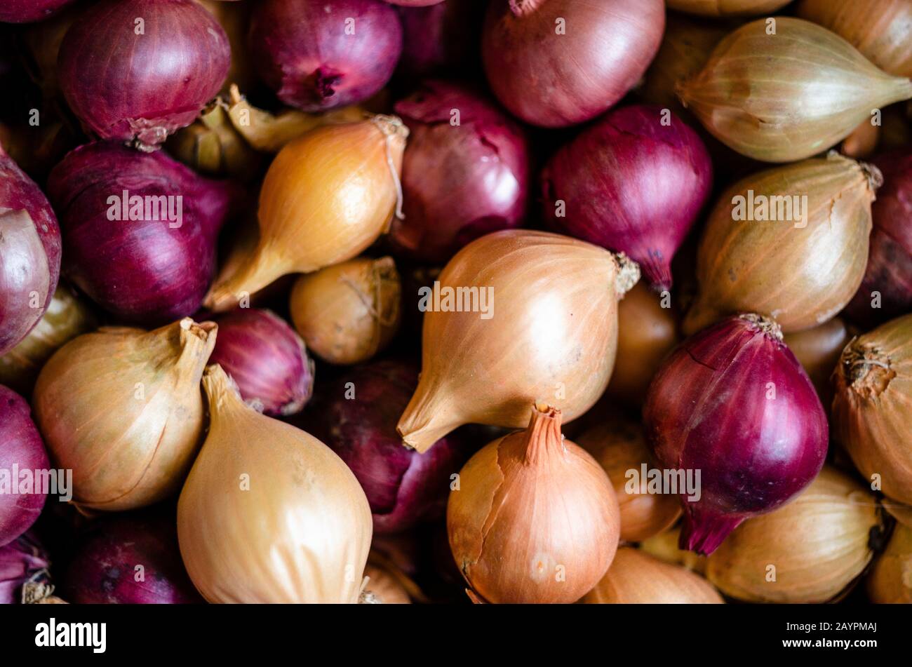 Bunch of onions in the vegetable section of shop or at home in the ...