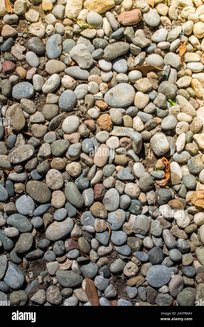 Background texture consist of full of little pebbles Stock Photo - Alamy