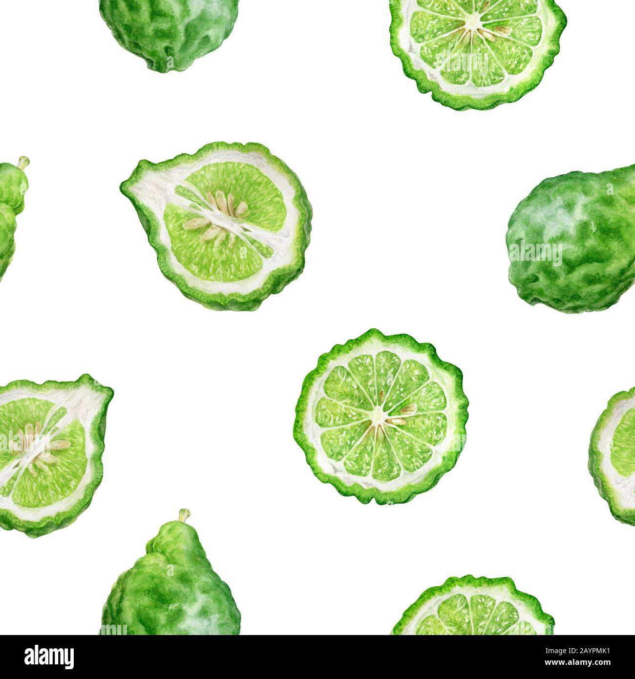 Bergamot fruit hand drawn watercolor illustration. Seamless pattern ...
