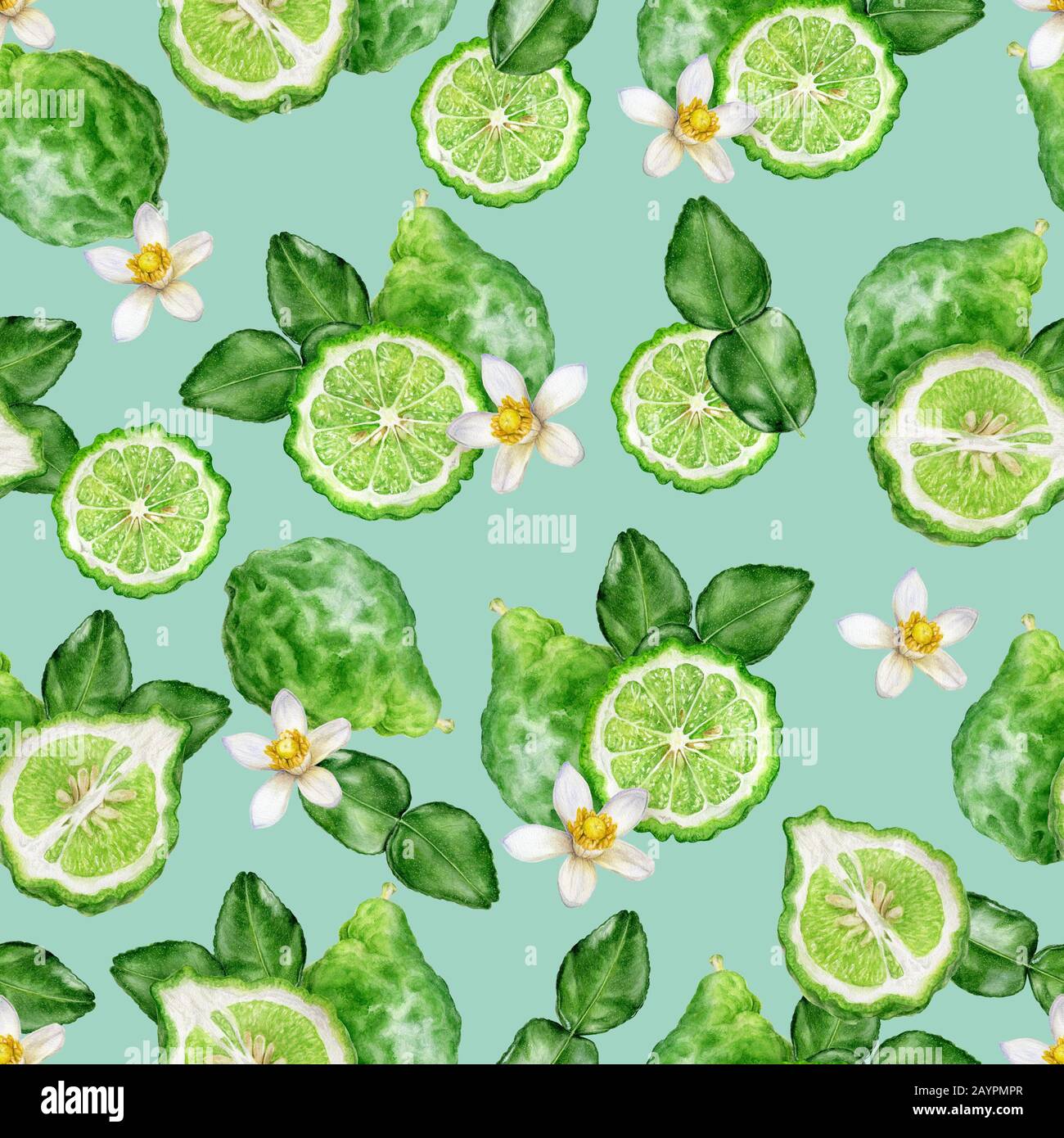 Bergamot Color