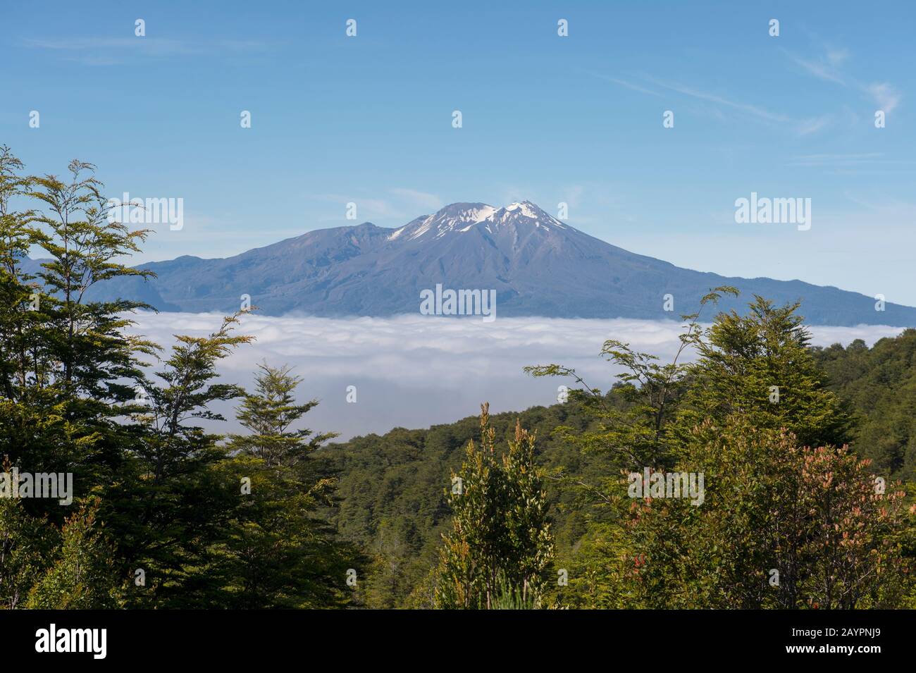 View from the base of Osorno volcano of Calbuco volcano which is a ...
