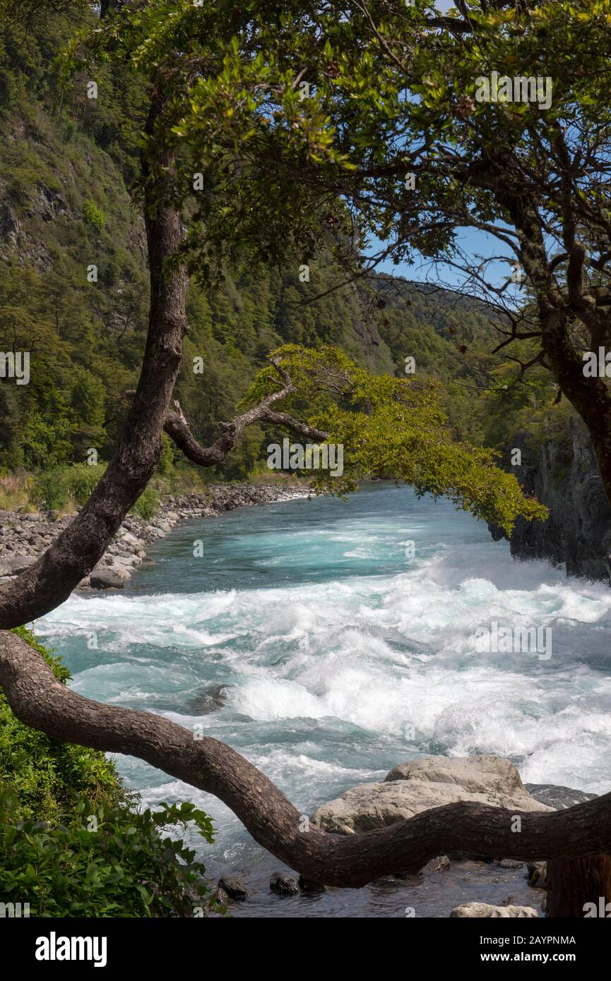 The Petrohue River in Vicente Perez Rosales National Park near Puerto ...