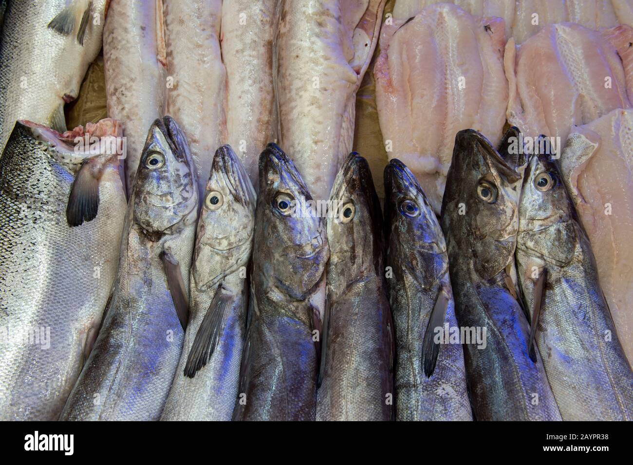 Fresh fish on display in the market hall in Angelmo, Puerto Montt in ...