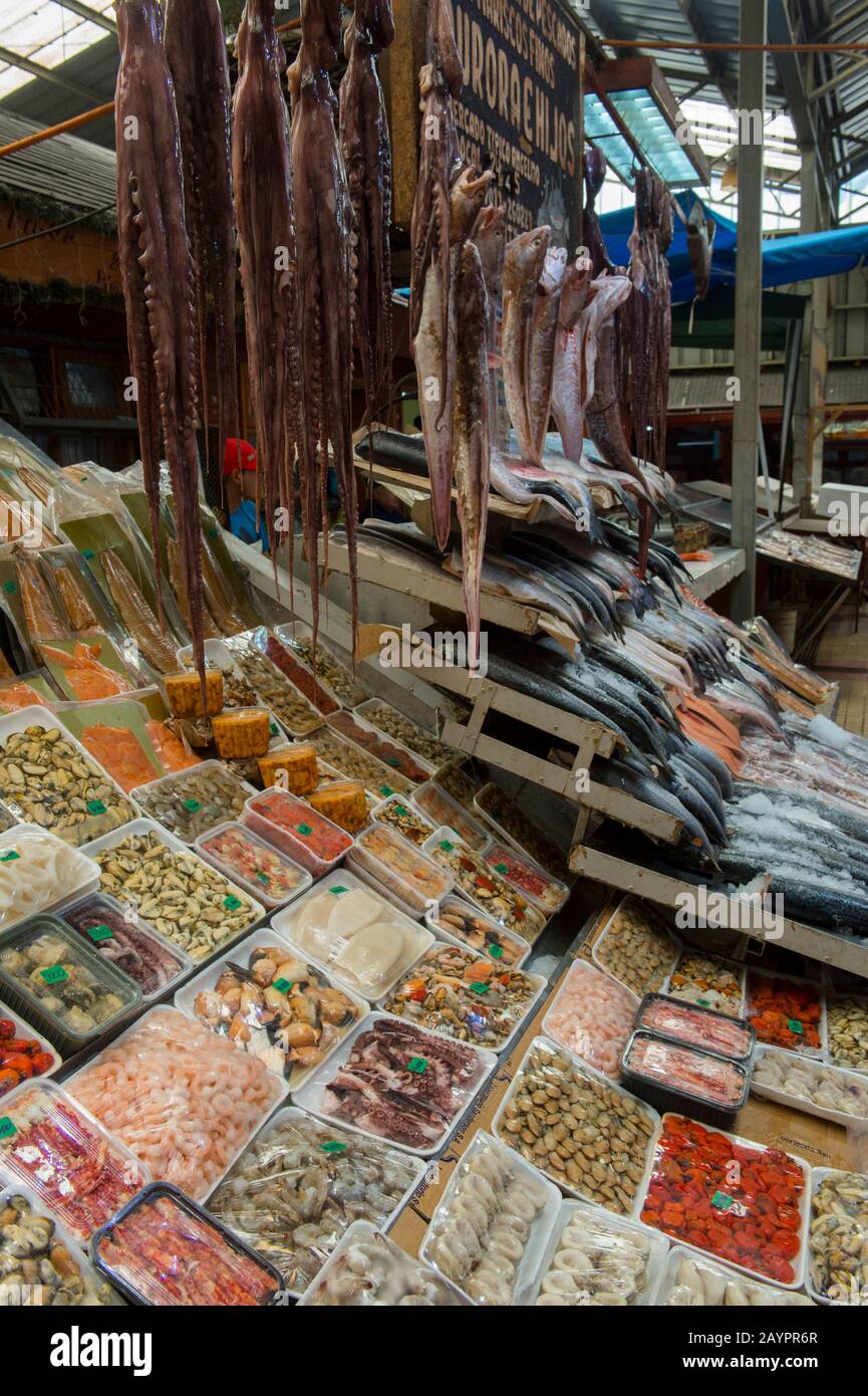 Fresh fish on display in the market hall in Angelmo, Puerto Montt in ...