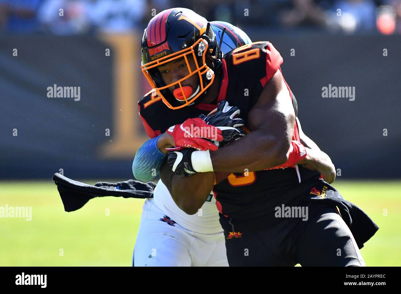 Carson, CA. 16th Feb, 2020. LA Wildcats wide receiver Jordan Smallwood ...