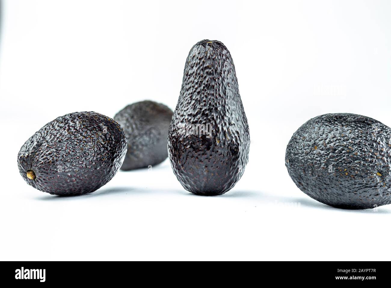 Four Avocados on a white background Stock Photo - Alamy