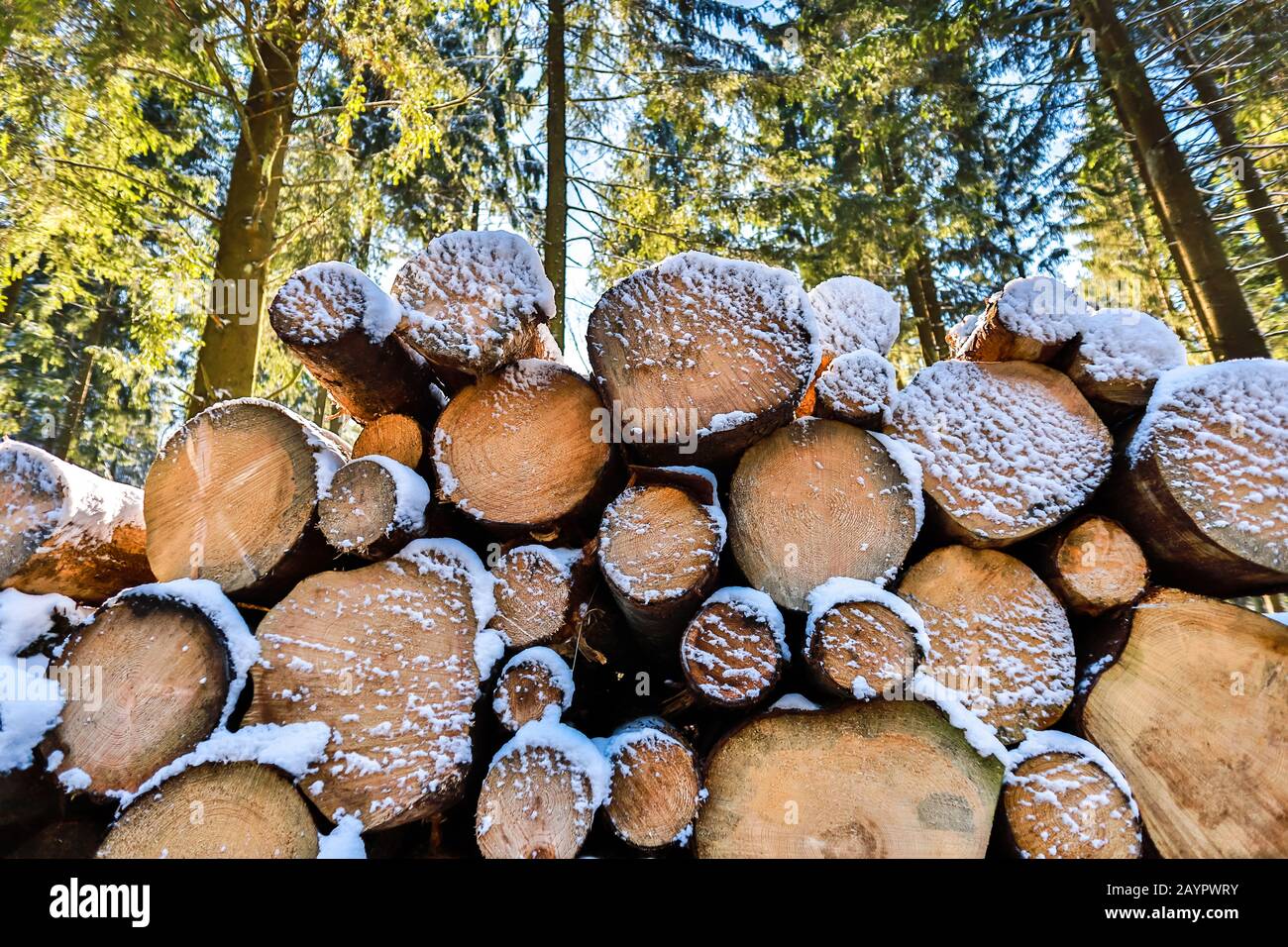 Tree logs in ice hi-res stock photography and images - Alamy