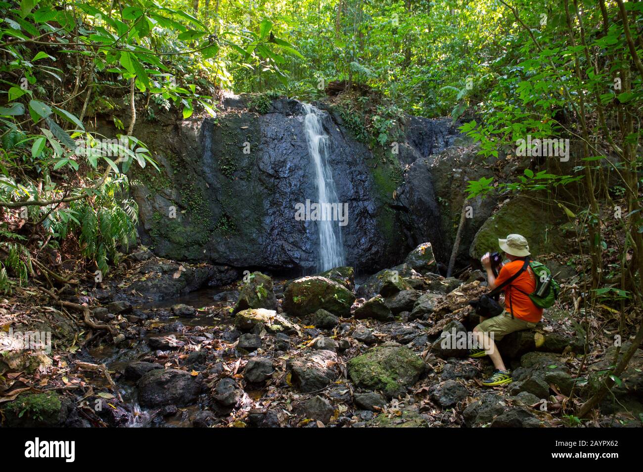 A tourist is looking at a waterfall in the rainforest near the ...