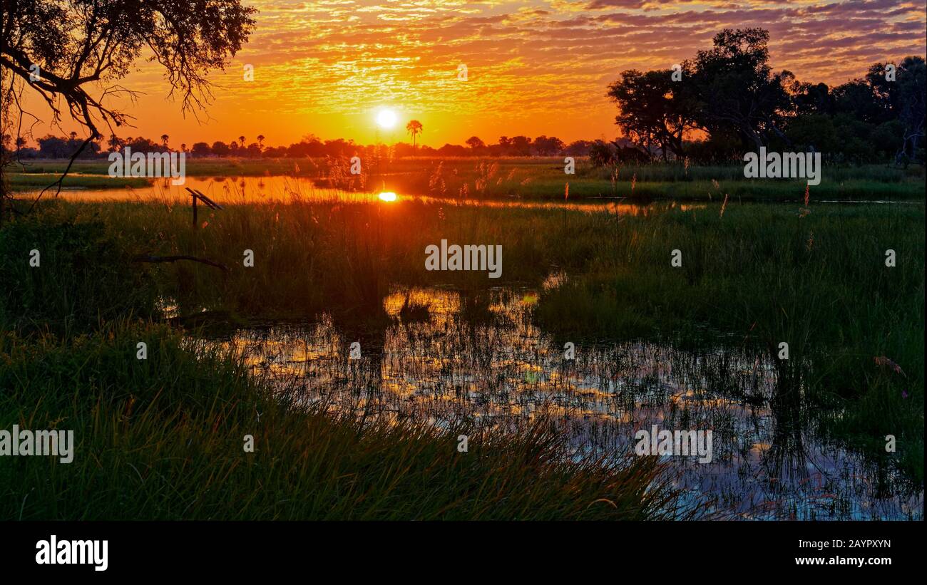 Sunset in the Okavango Delta viewed from a campsite, Botswana, Africa ...