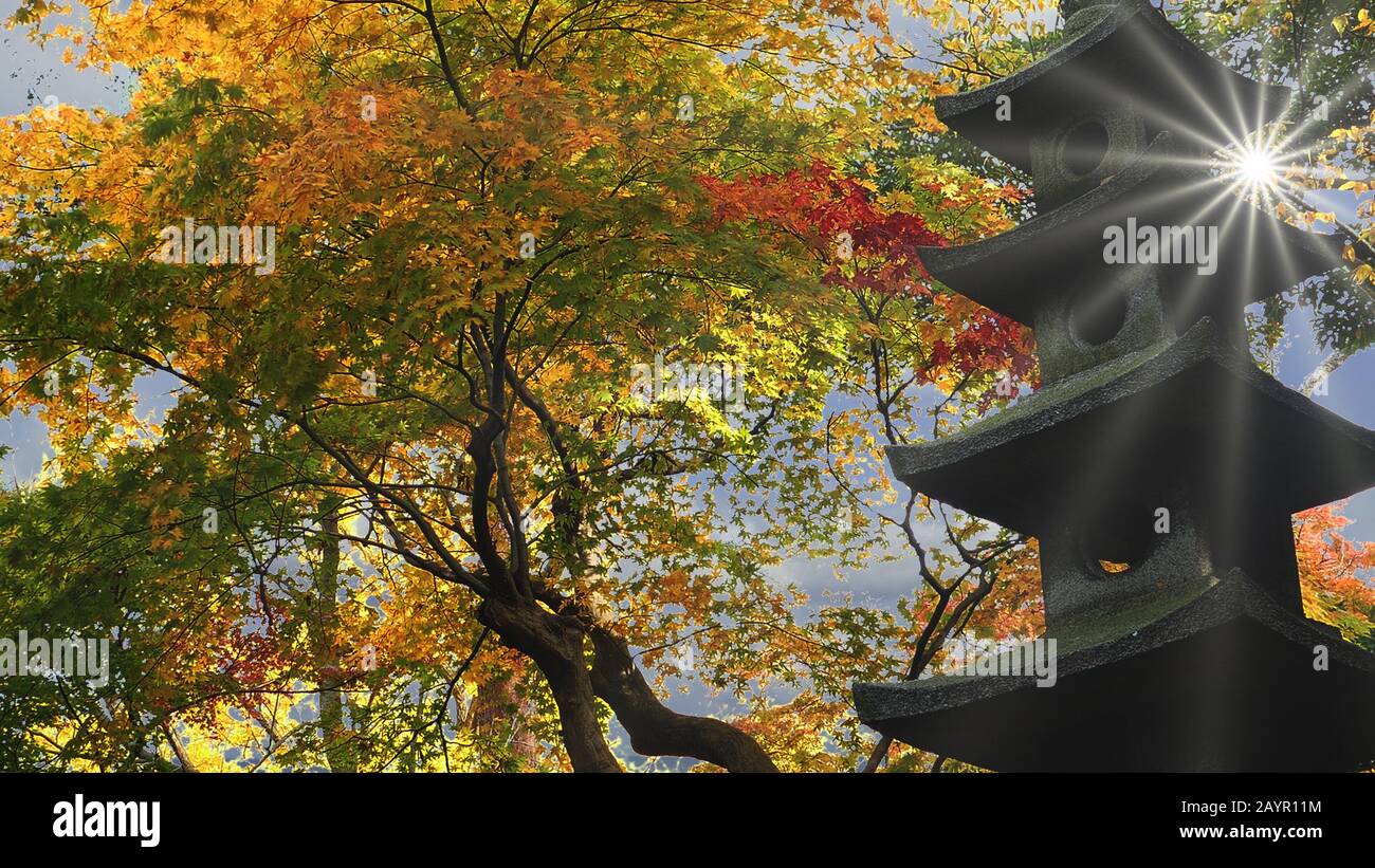 The Kanazawa, Ishikawa, Japan fall season at Kenrokuen Gardens Stock ...