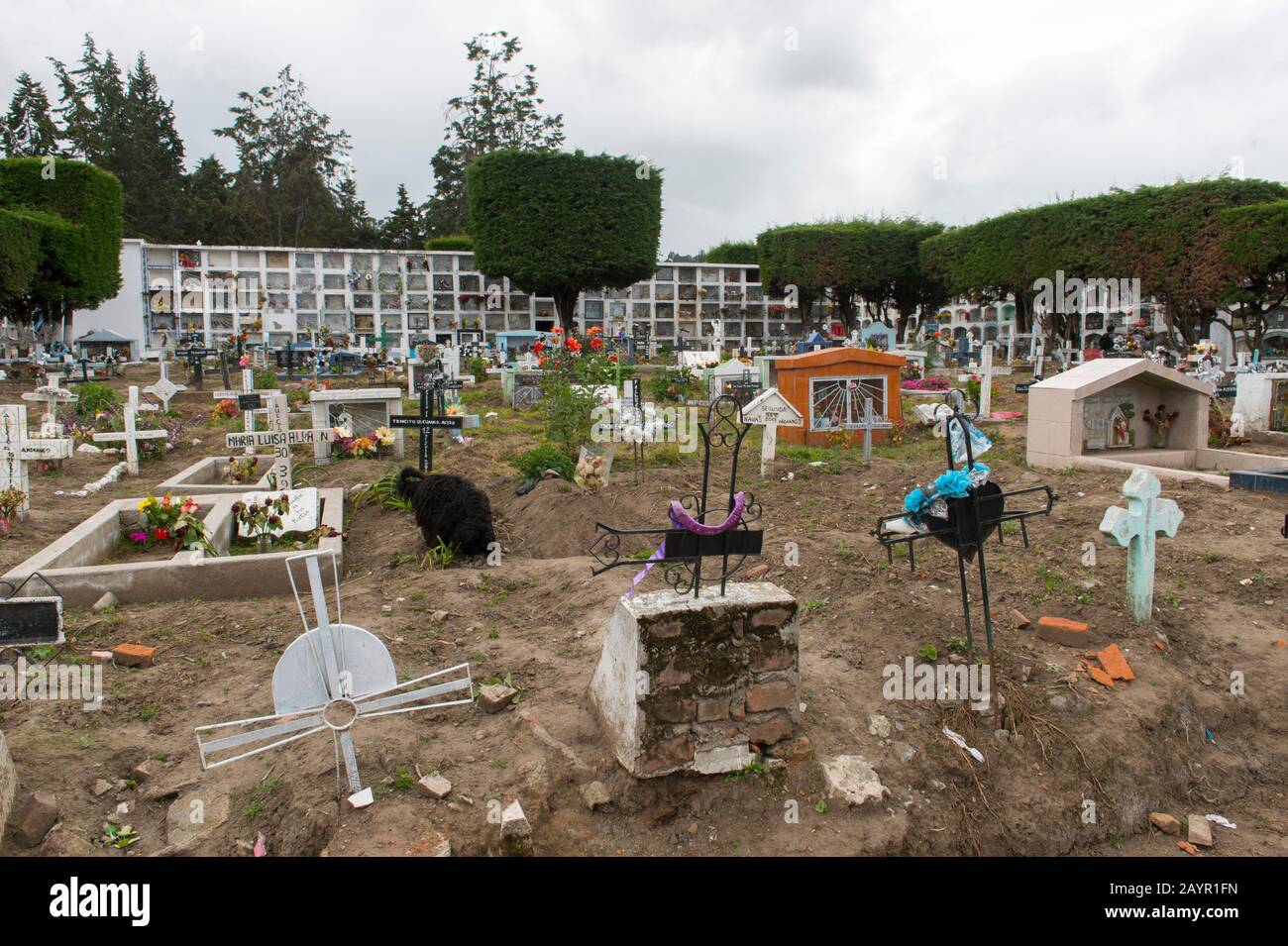 The gravesites are decorated with flowers at the Cayambe cemetery in ...