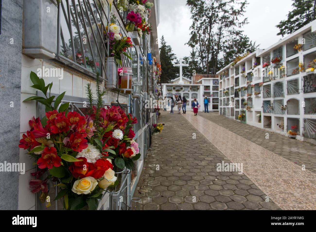 The gravesites are decorated with flowers at the Cayambe cemetery in ...