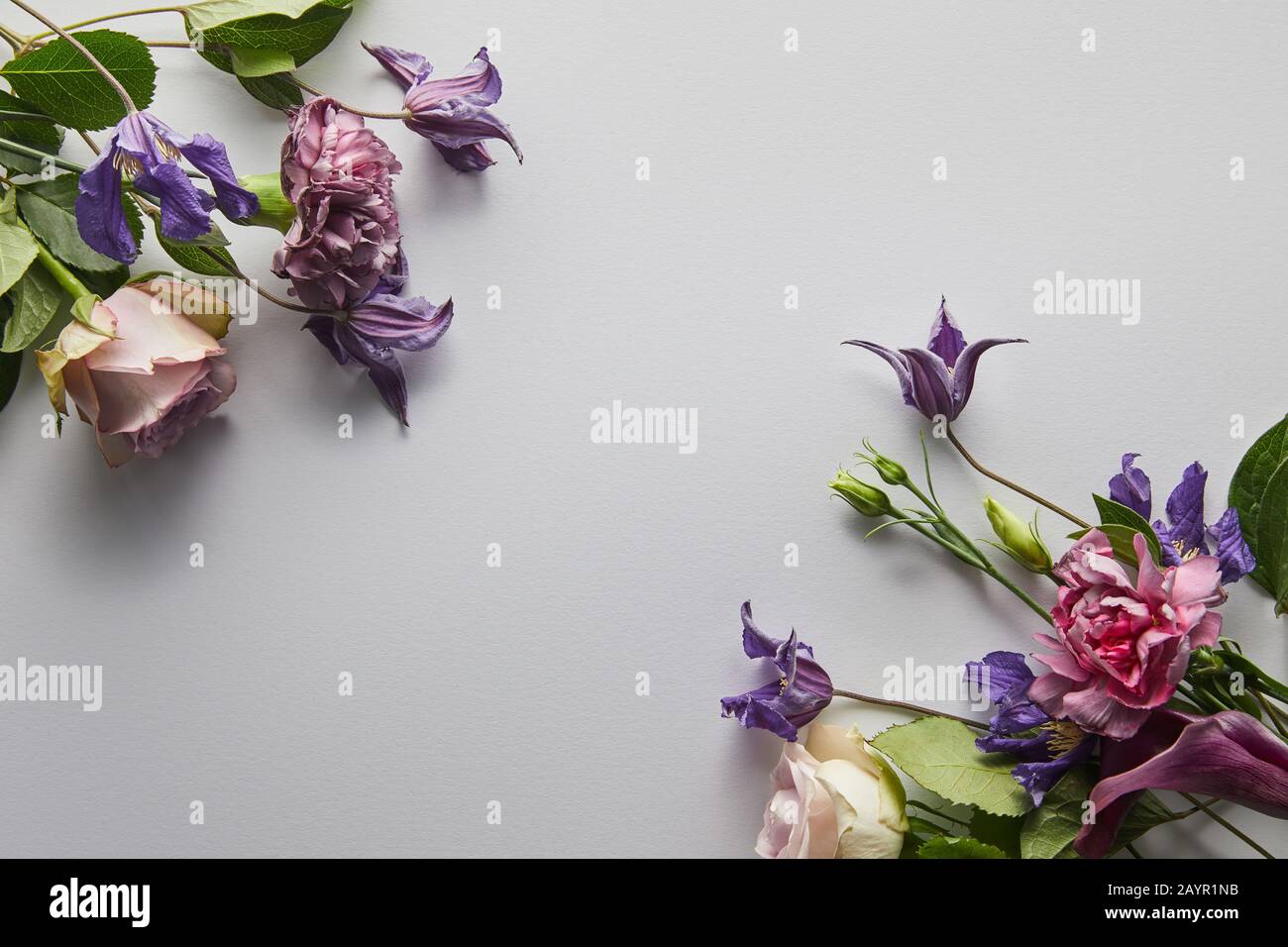 top view of violet and purple flowers on white background Stock Photo ...