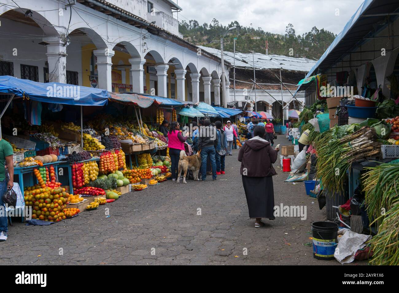 The local food market with produce stands in the town of Otavalo in the ...