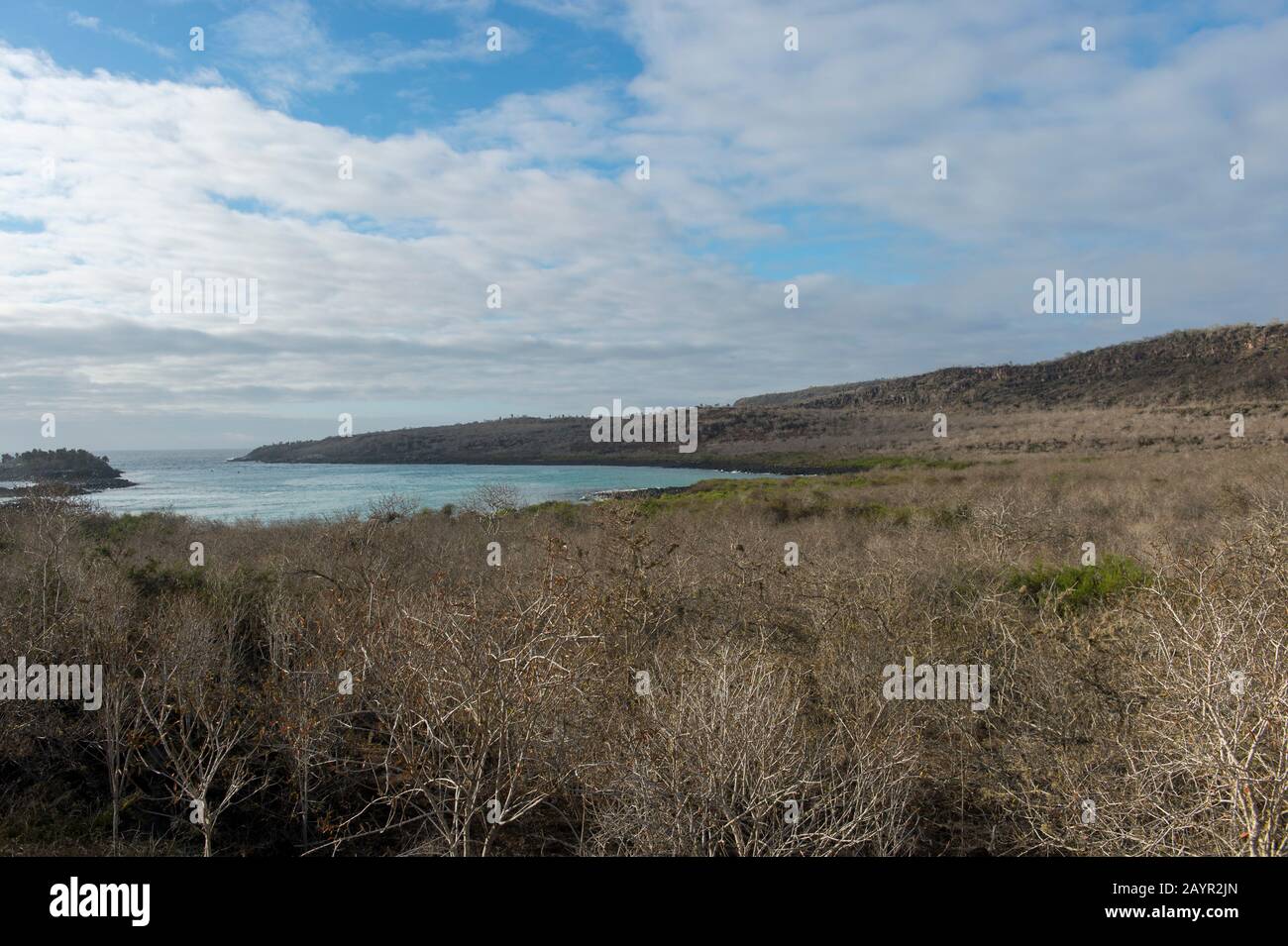 View of Santa Fe Island (Barrington Island) in the Galapagos National ...