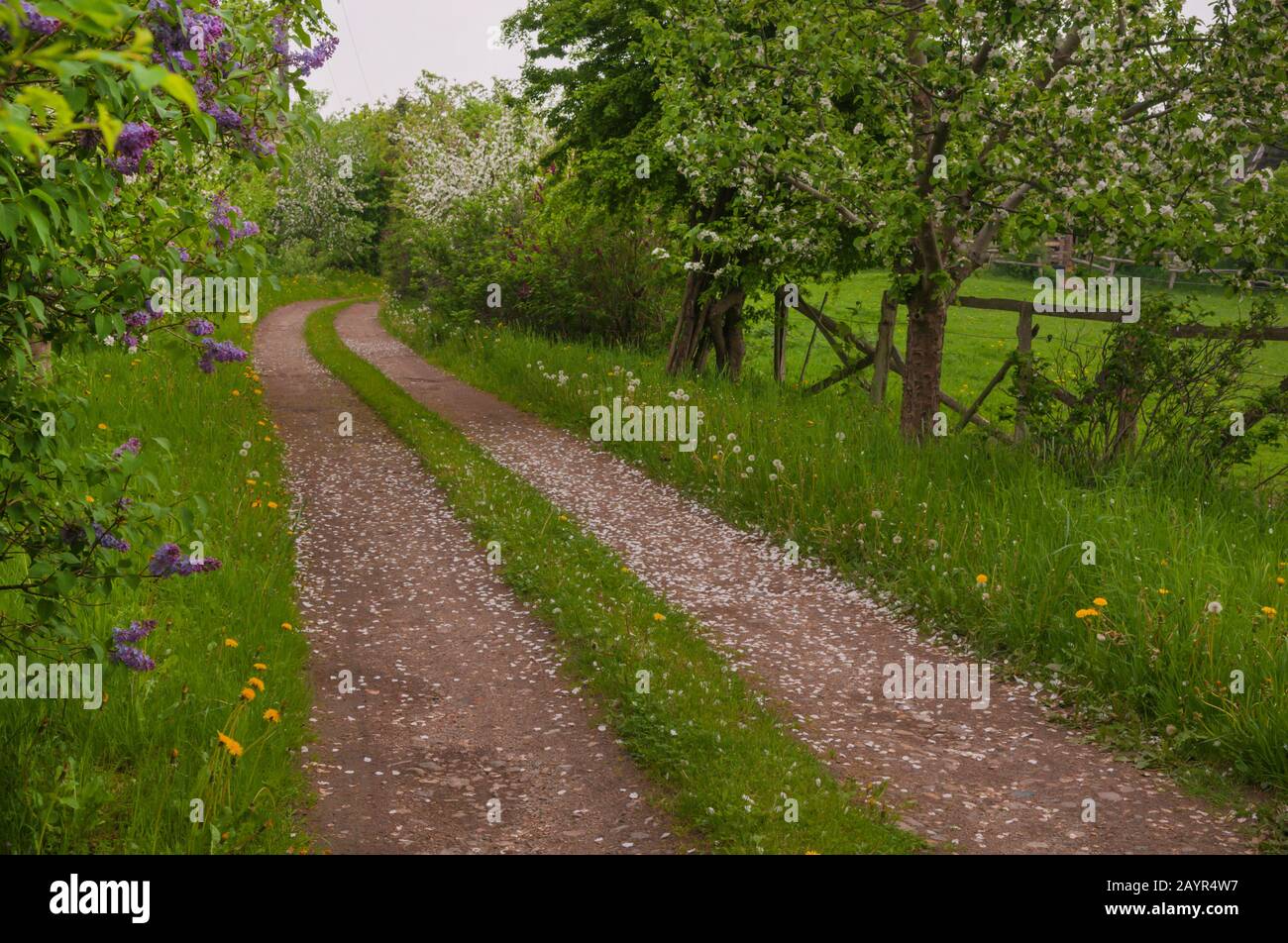 Ostholstein hi-res stock photography and images - Alamy