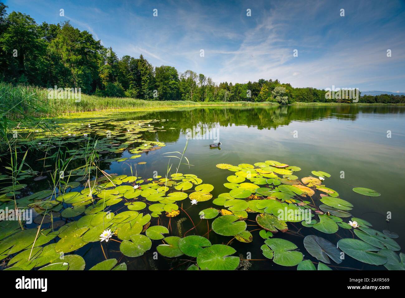 Dawn in the lakes hi-res stock photography and images - Alamy