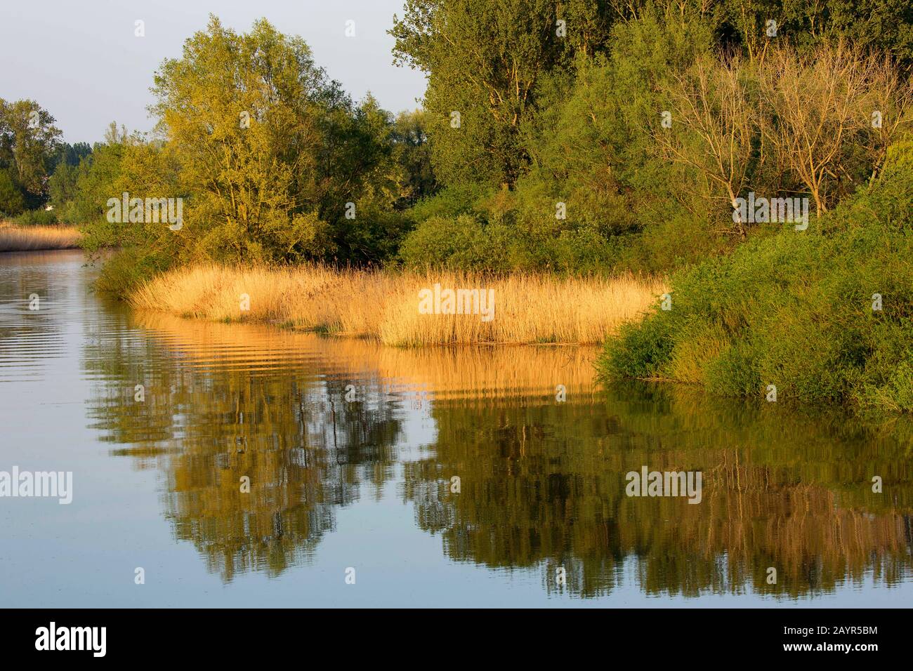 Tielrode hi-res stock photography and images - Alamy