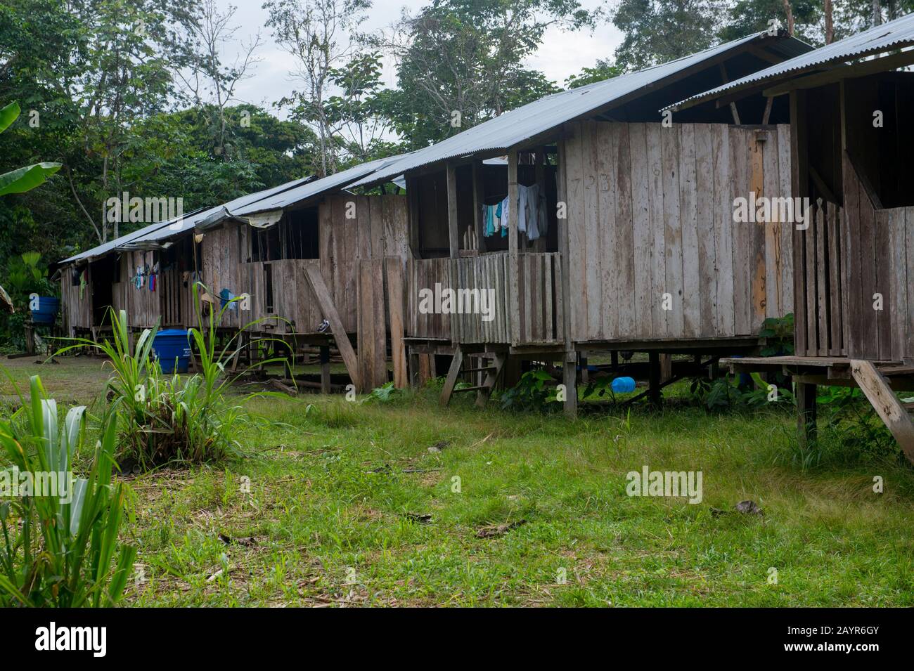 Huts on stilts at the Kichwa native community O El Pilchi near La Selva ...