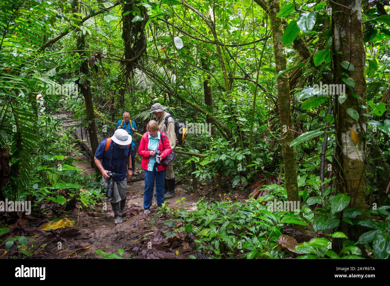 Tourists exploring the rain forest at La Selva Lodge near Coca, Ecuador ...
