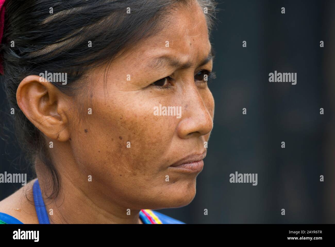 Portrait of a Kichwa Indian woman at the native community O El Pilchi ...
