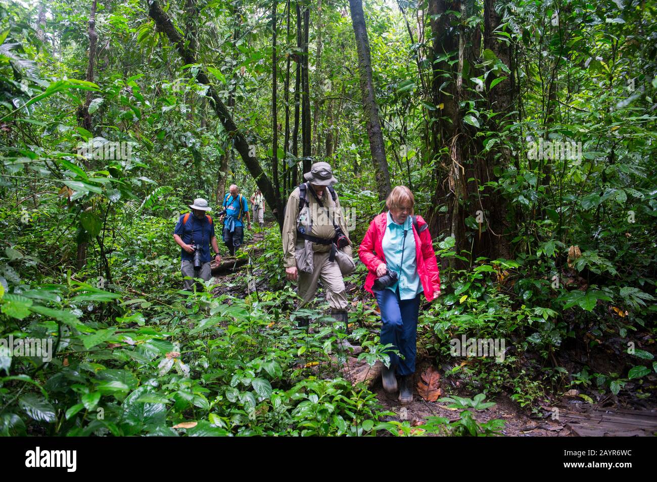 Tourists exploring the rain forest at La Selva Lodge near Coca, Ecuador ...