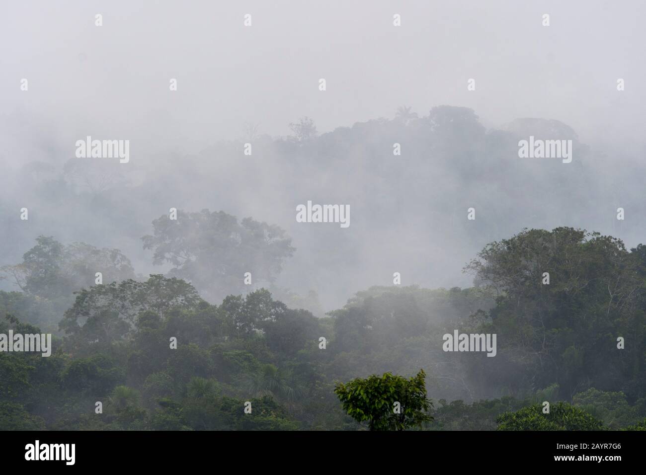 View from the observation tower of rising mist from the rain forest ...