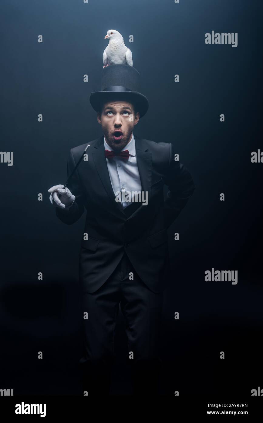 surprised magician in hat with dove and wand in dark room with smoke ...