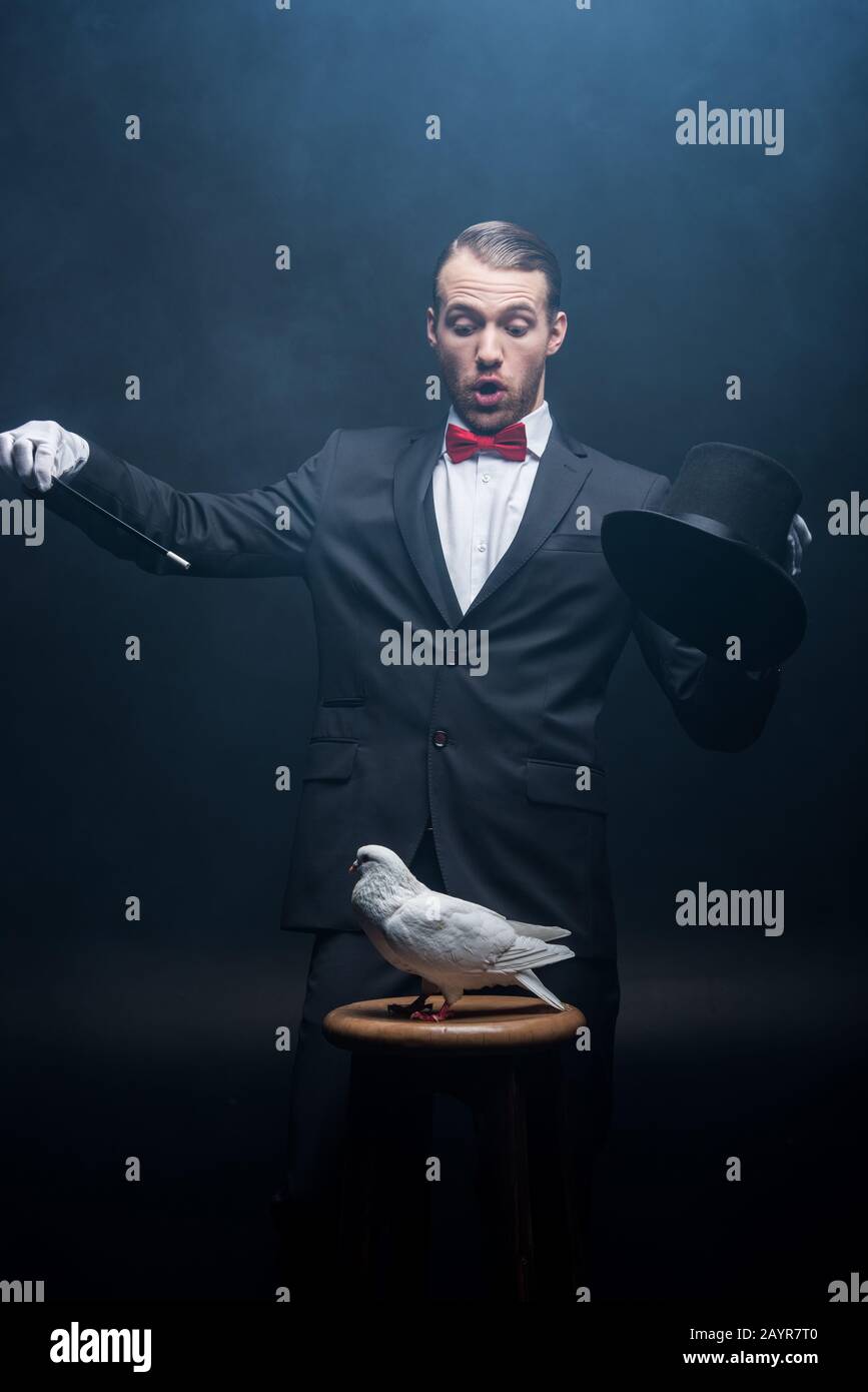 shocked magician showing trick with dove, wand and hat in dark room ...