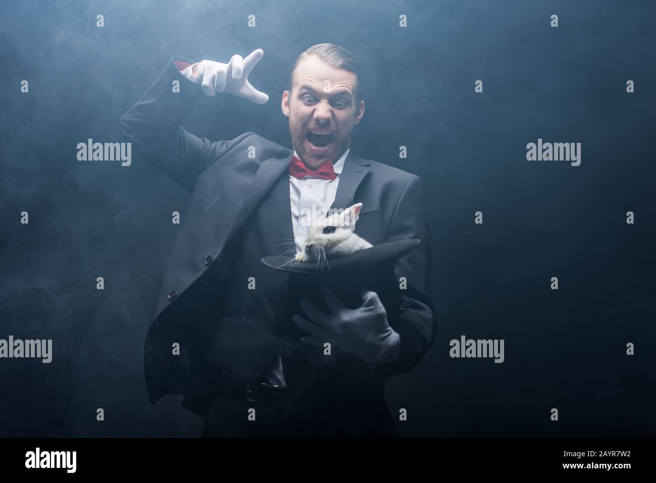 Angry rabbit hi-res stock photography and images - Alamy