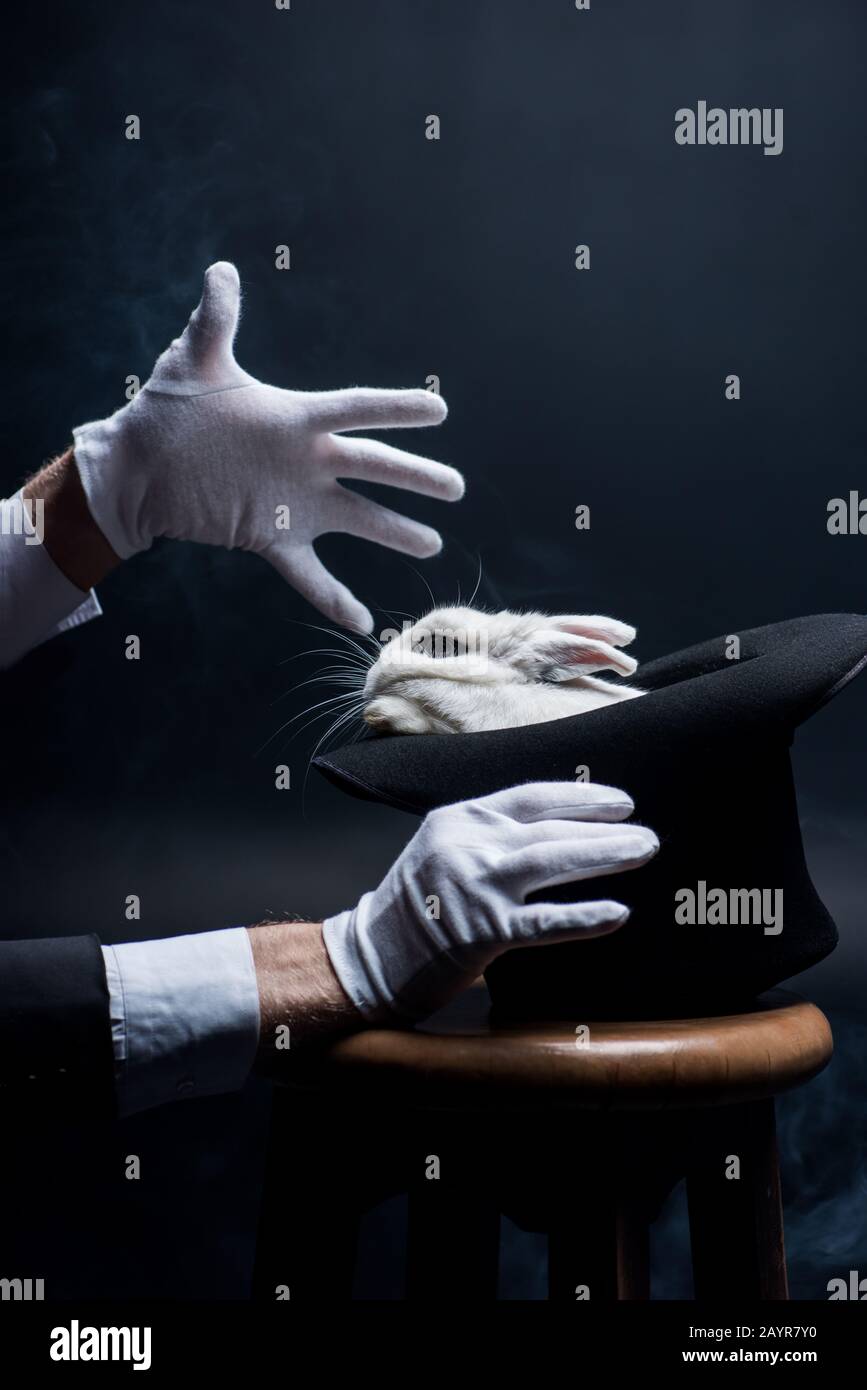 Magician hands in white gloves hi-res stock photography and images - Alamy