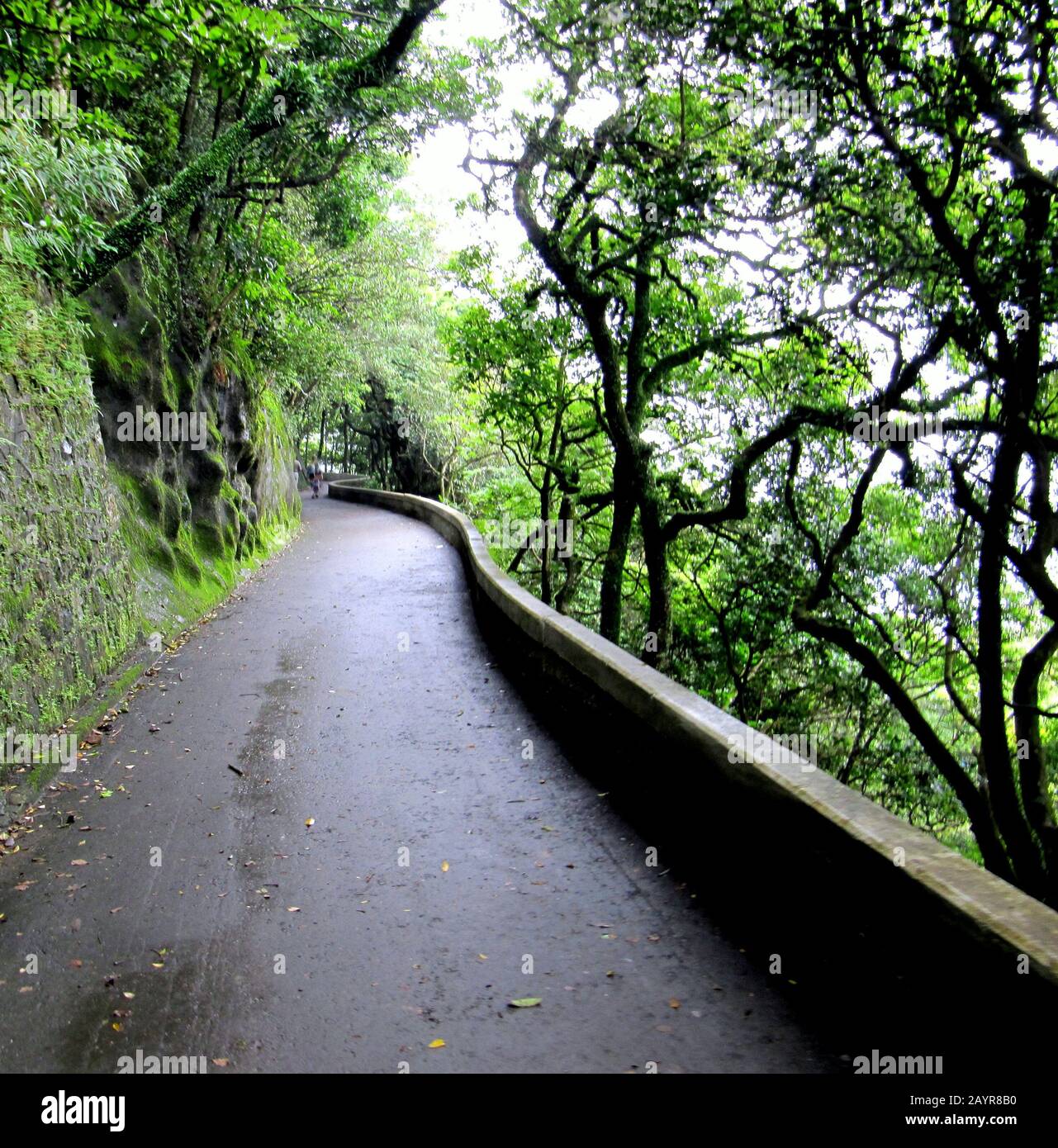 Narrow road hi-res stock photography and images - Alamy