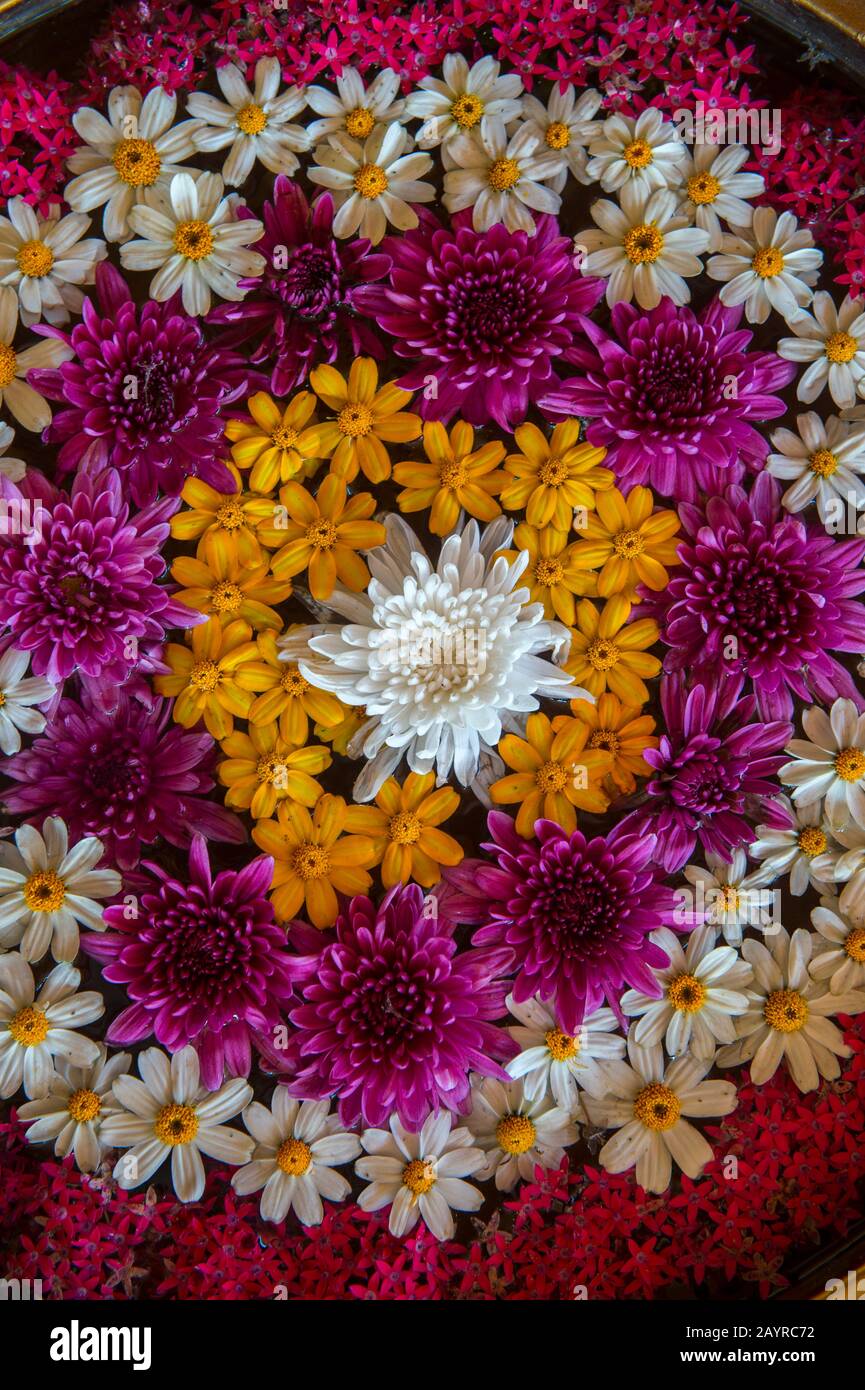 Floating flower arrangements at the Thiripyitsaya Sanctuary Resort in ...