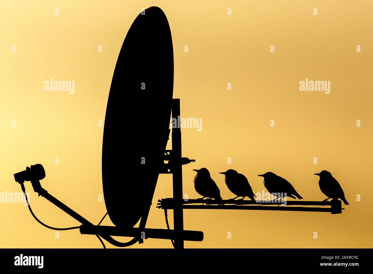 Spy antenna hi-res stock photography and images - Alamy