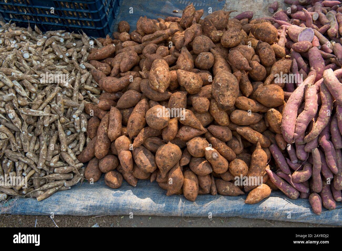 Roots of cluster beans and sweet potatoes at a farmers market in ...
