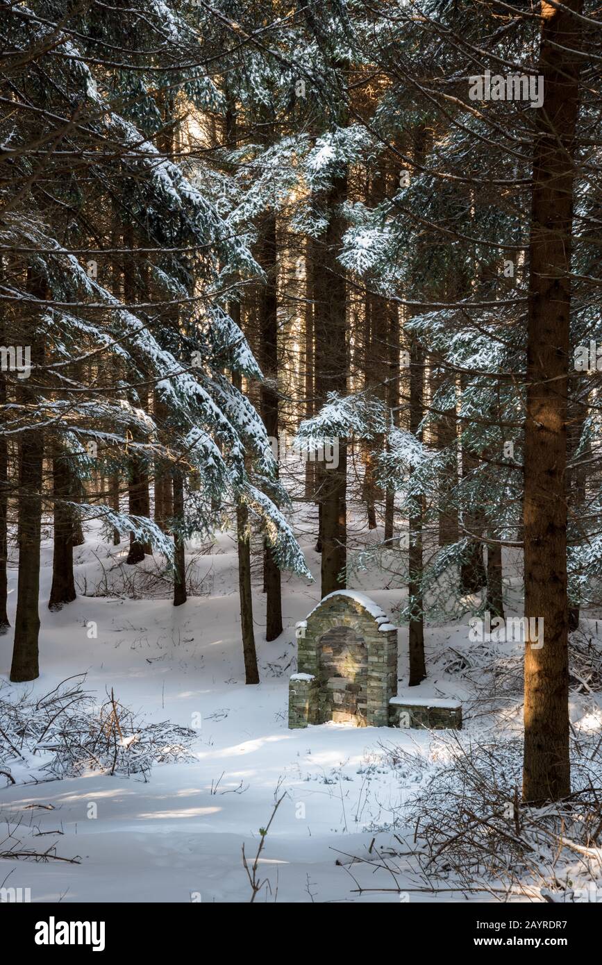 frozen snow in the forest Stock Photo - Alamy